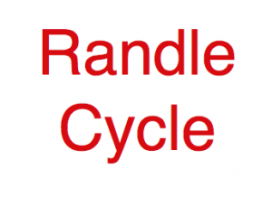The Randle Cycle (Glucose-Fatty Acid Cycle) – Functional Performance ...